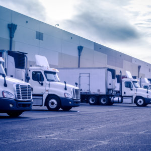 Dpf Cleaning Dpf Cleaning Near Me Dpf Cleaning Cost